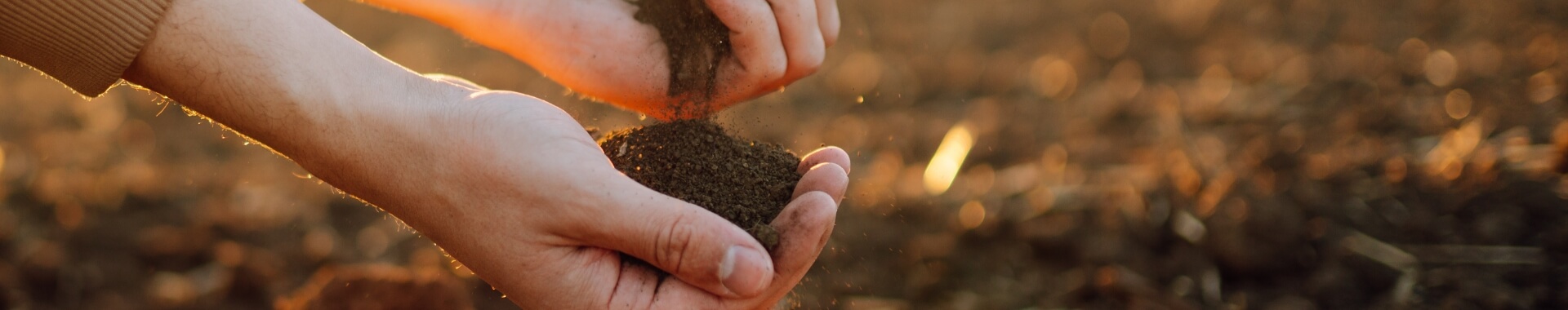 Contact Us - Grower’s Gold