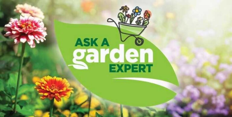 Home - Grower’s Gold